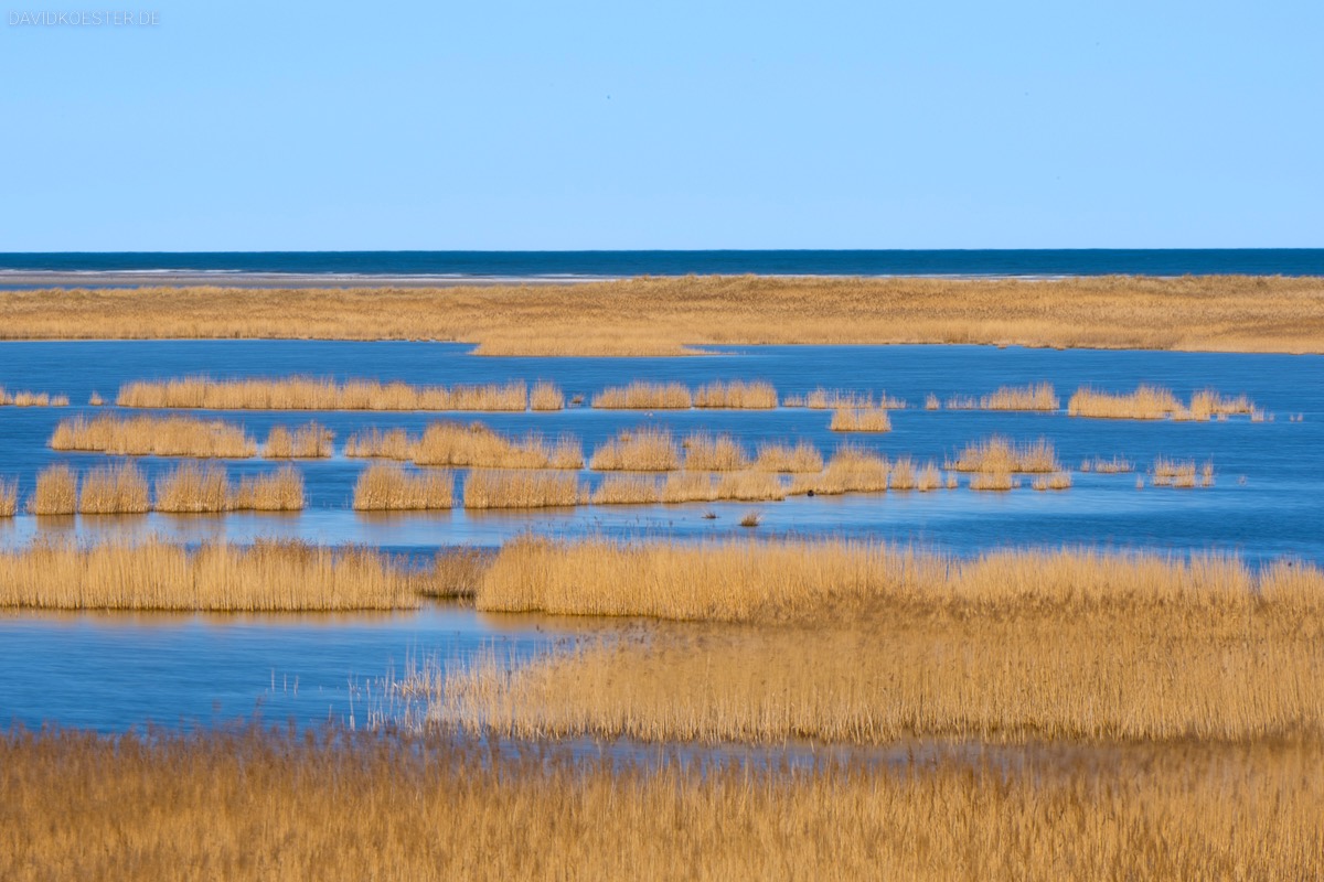 Fotoworkshop Zingst Darß - Landschaftsfotograf David Köster
